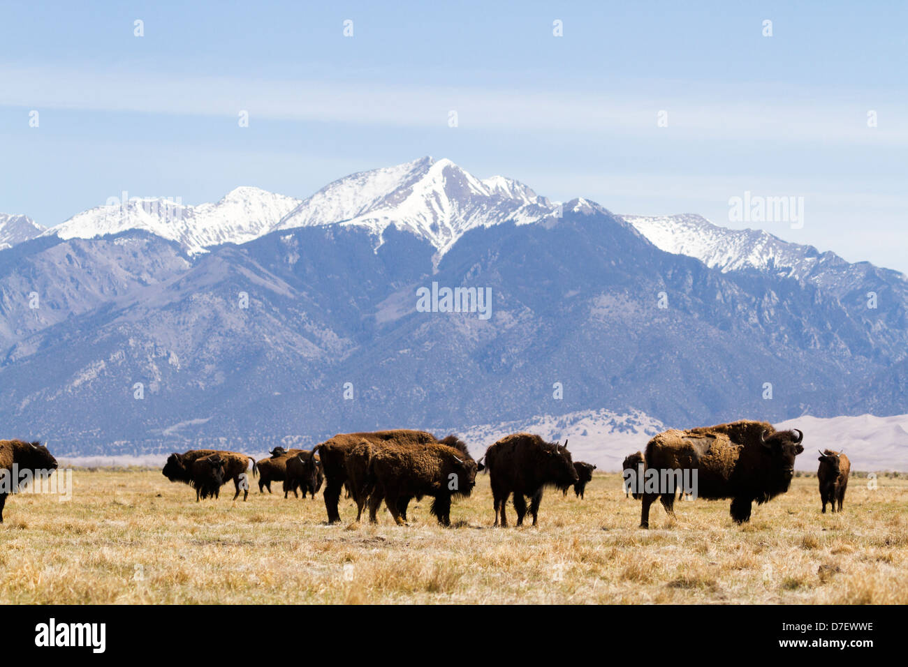 Buffalo peaks ranch hi-res stock photography and images - Alamy