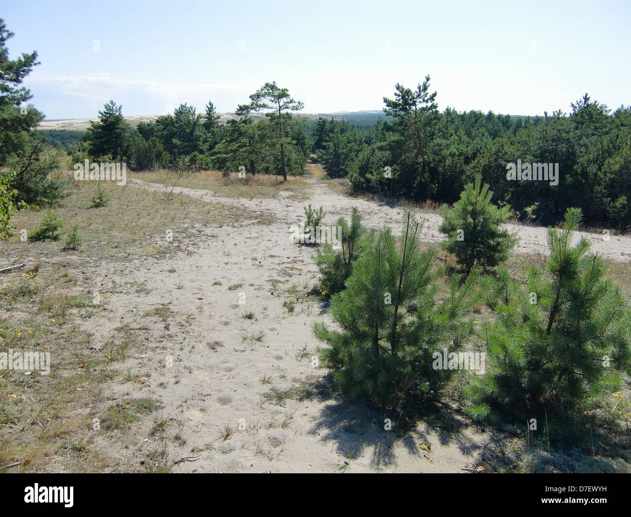 Nida (Neringa Municipality, Republic of Lithuania Stock Photo - Alamy