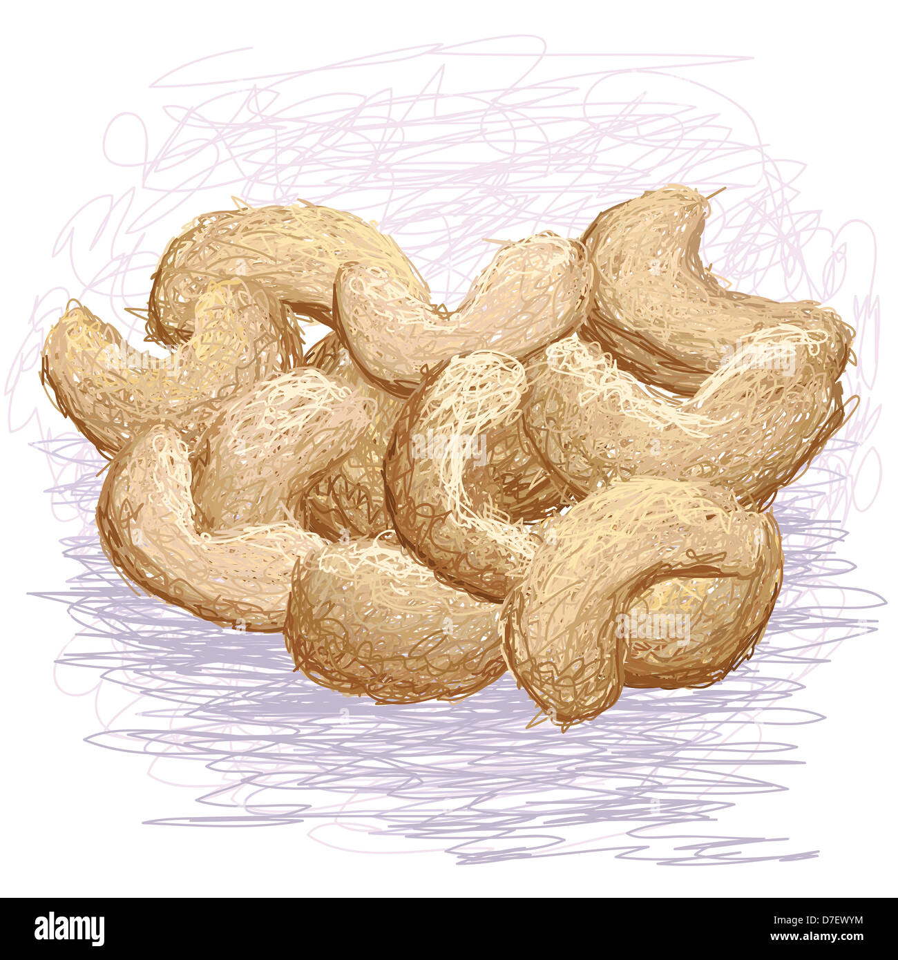 Cashew drawing hi-res stock photography and images - Alamy