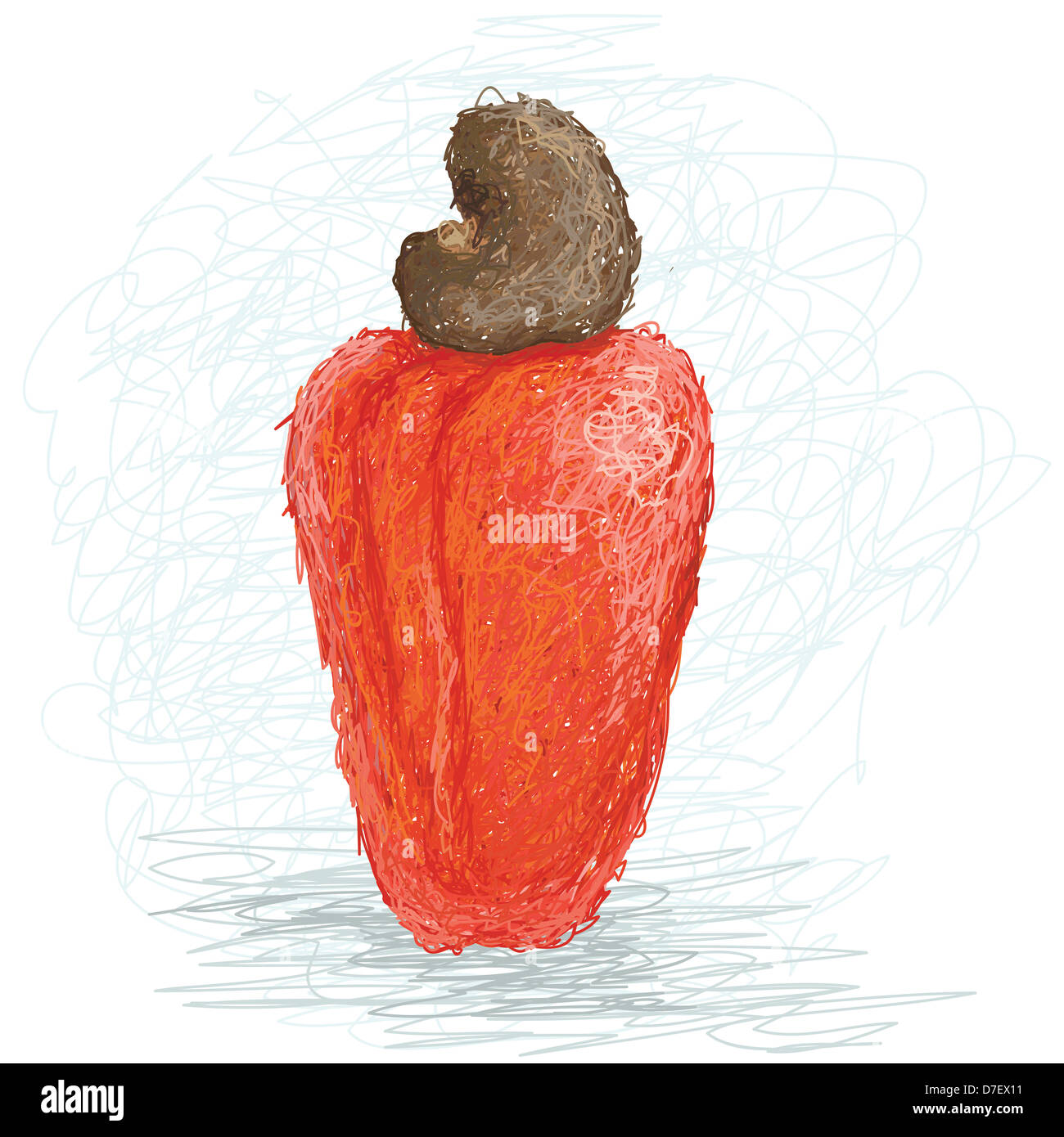 closeup illustration of a afresh cashew fruit Stock Photo - Alamy