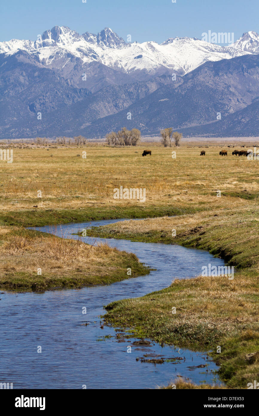 Buffalo peaks ranch colorado hi-res stock photography and images - Alamy