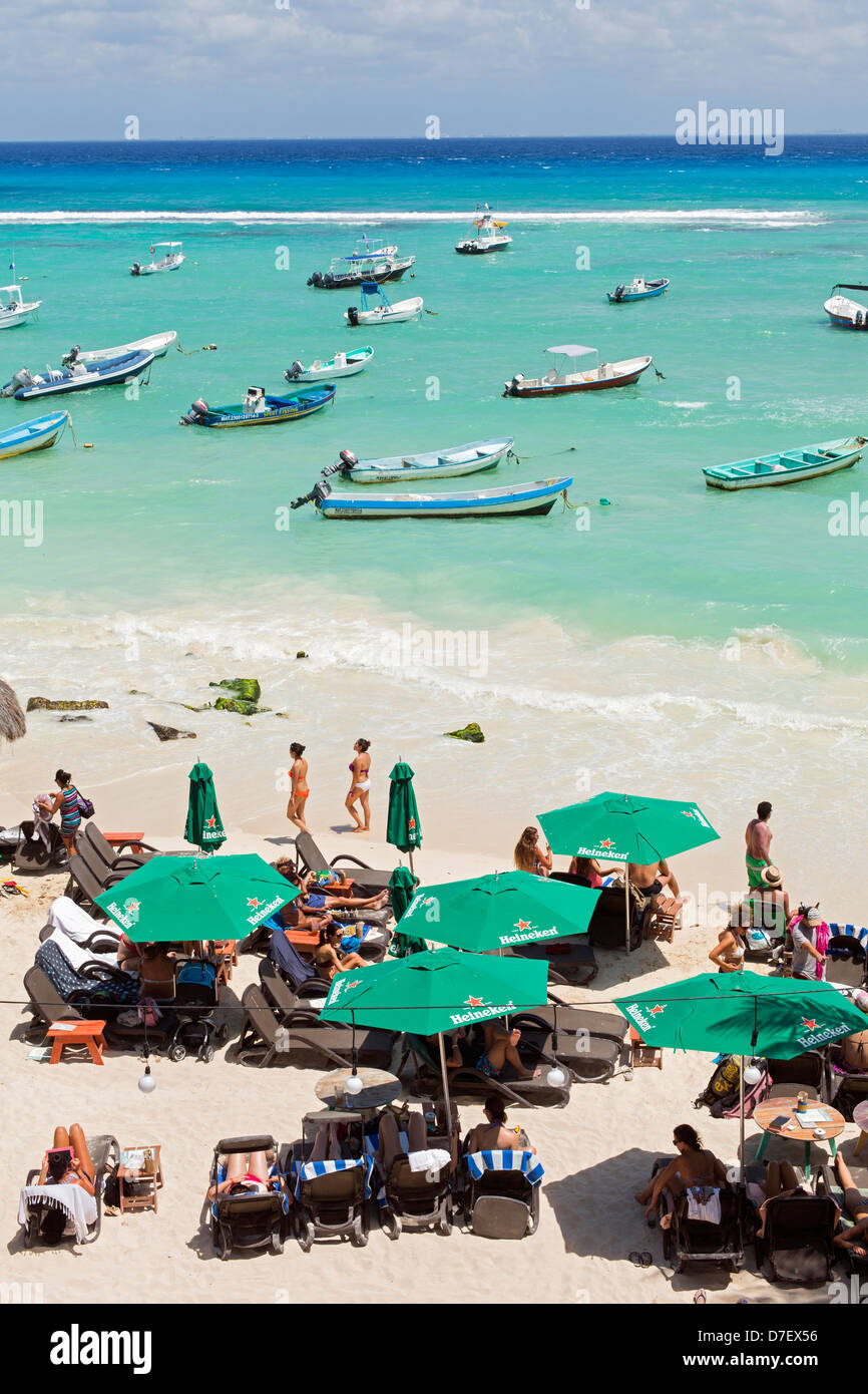 Canibal trees hi-res stock photography and images - Alamy