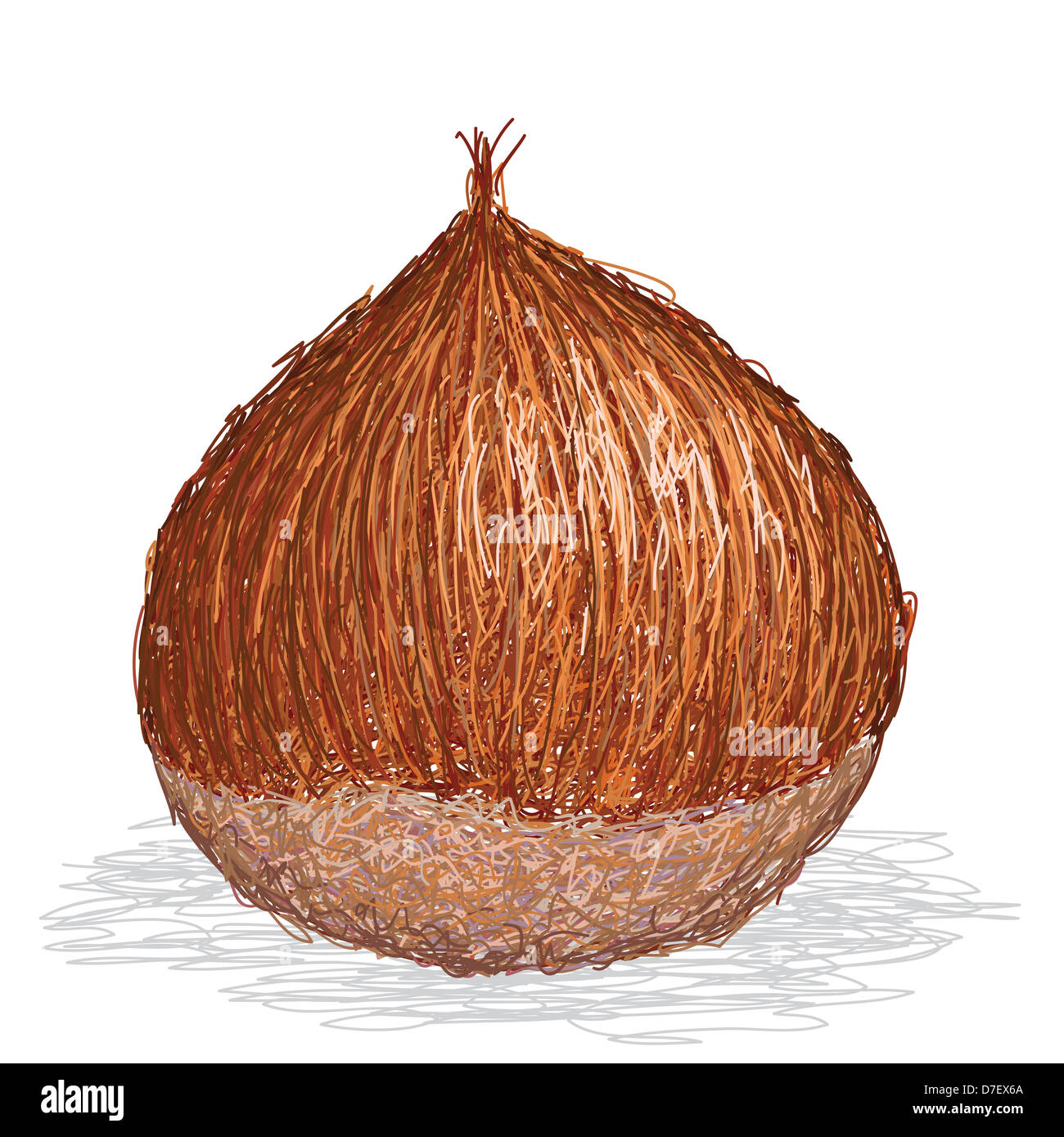 Chest nut hi-res stock photography and images - Alamy