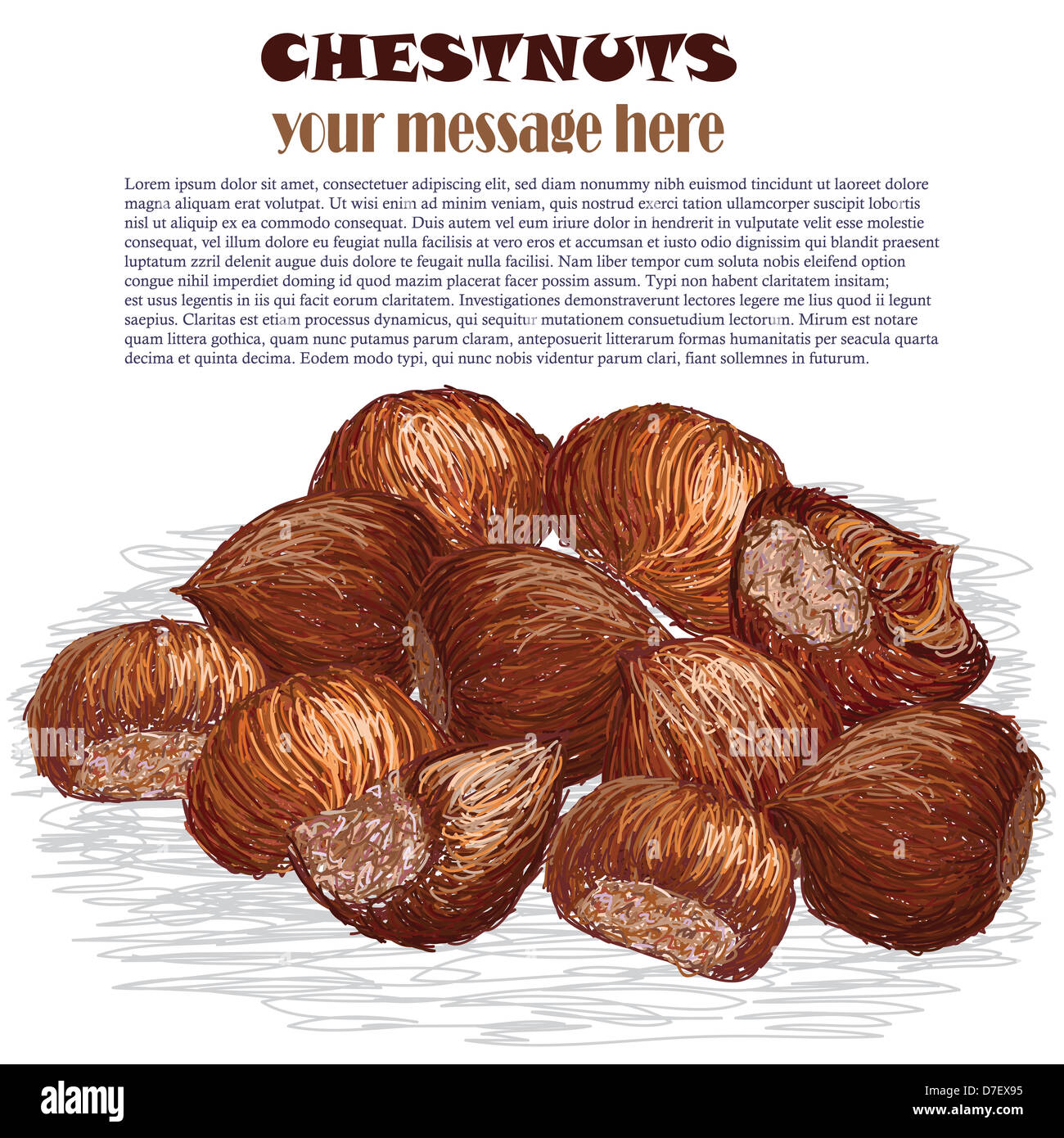 closeup illustration of group of chestnuts isolated in white background ...