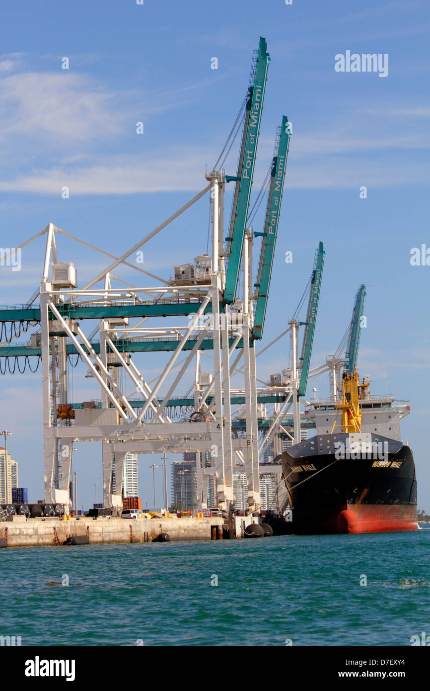 Cargo container cranes in port hi-res stock photography and images - Alamy