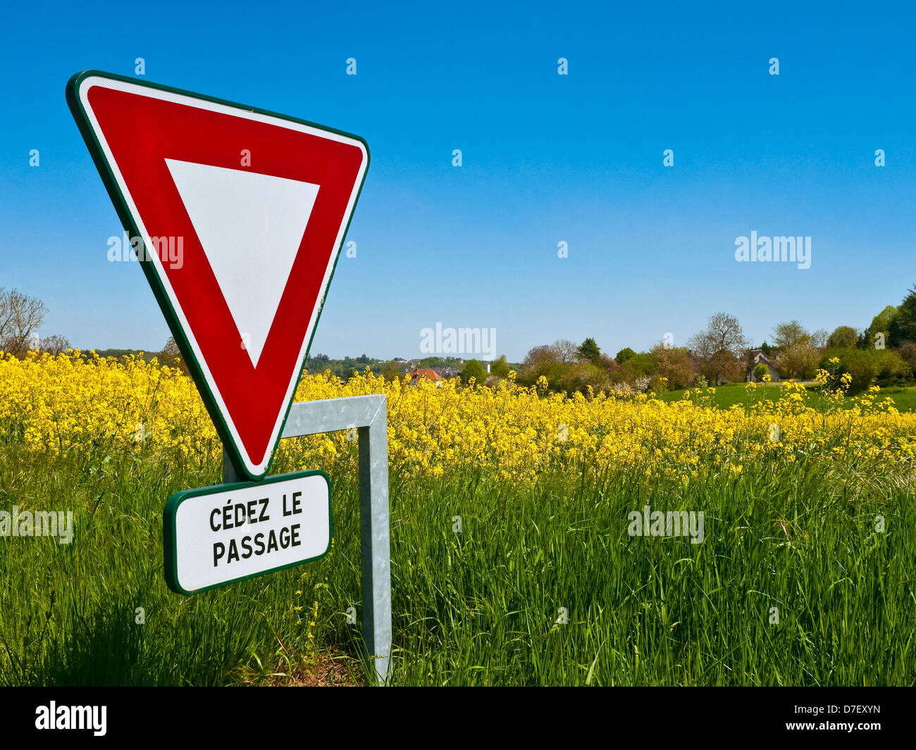 Modern French "Cédez le passage" (Give Way) road sign - France Stock ...