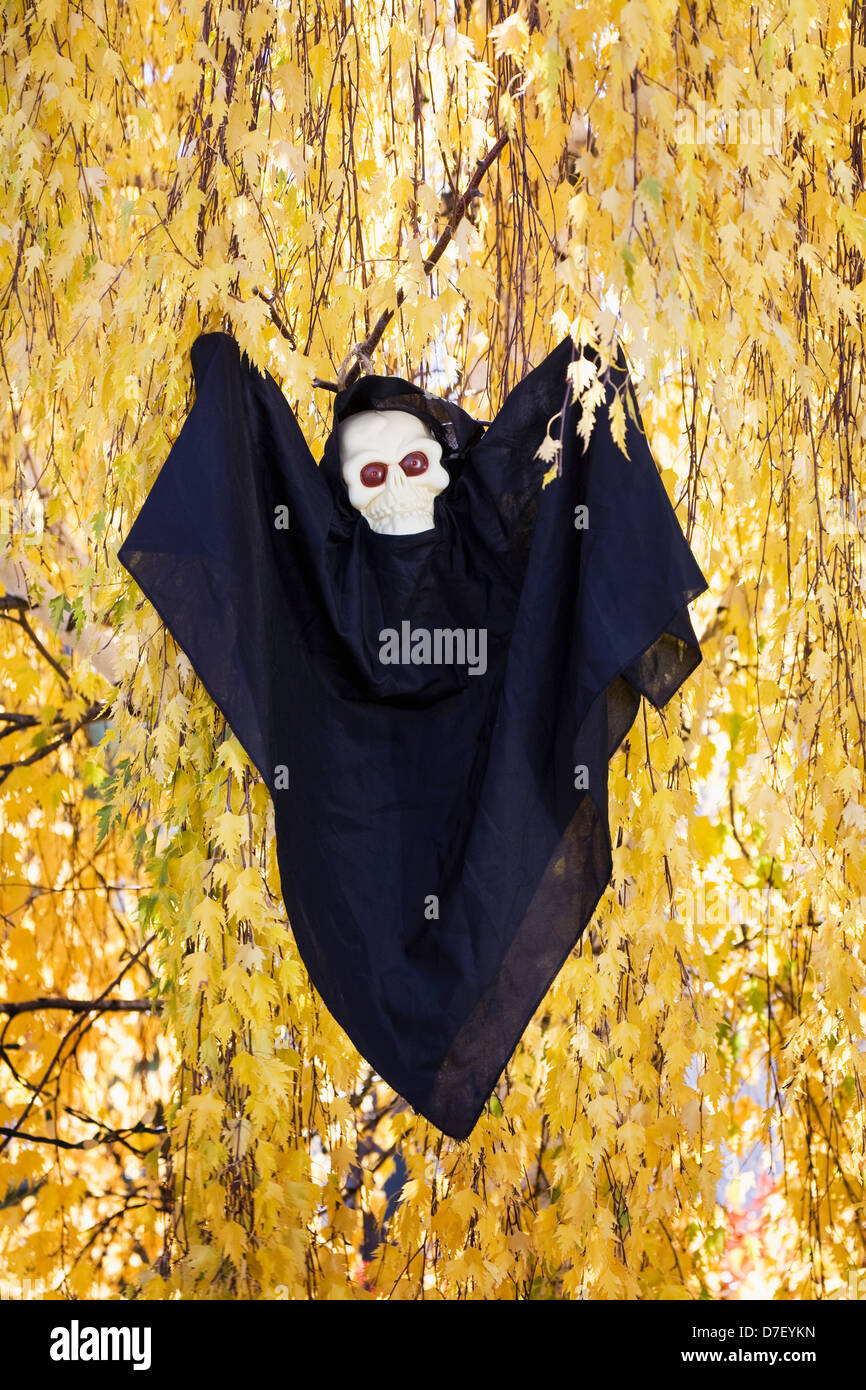 Halloween costume of a black cape and skull hanging on a paper birch ...