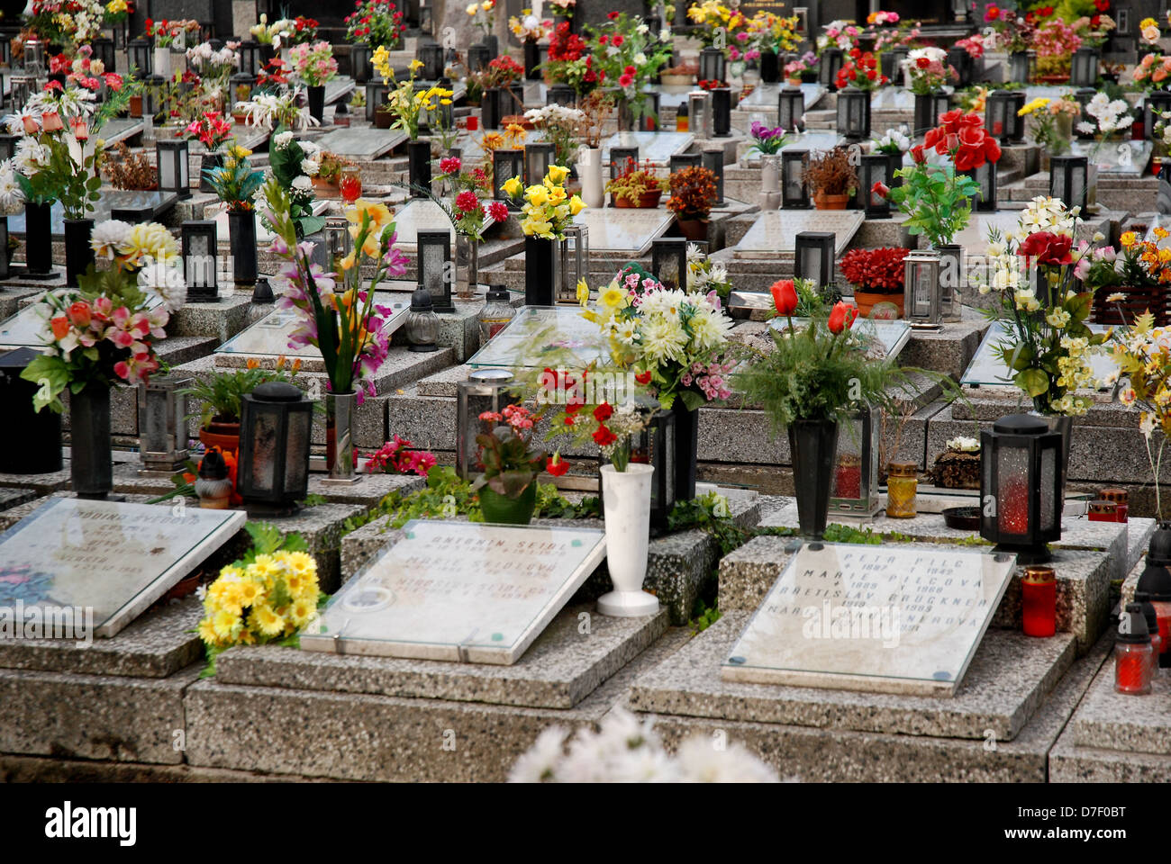 empty graveyard with lots of flowers Stock Photo - Alamy