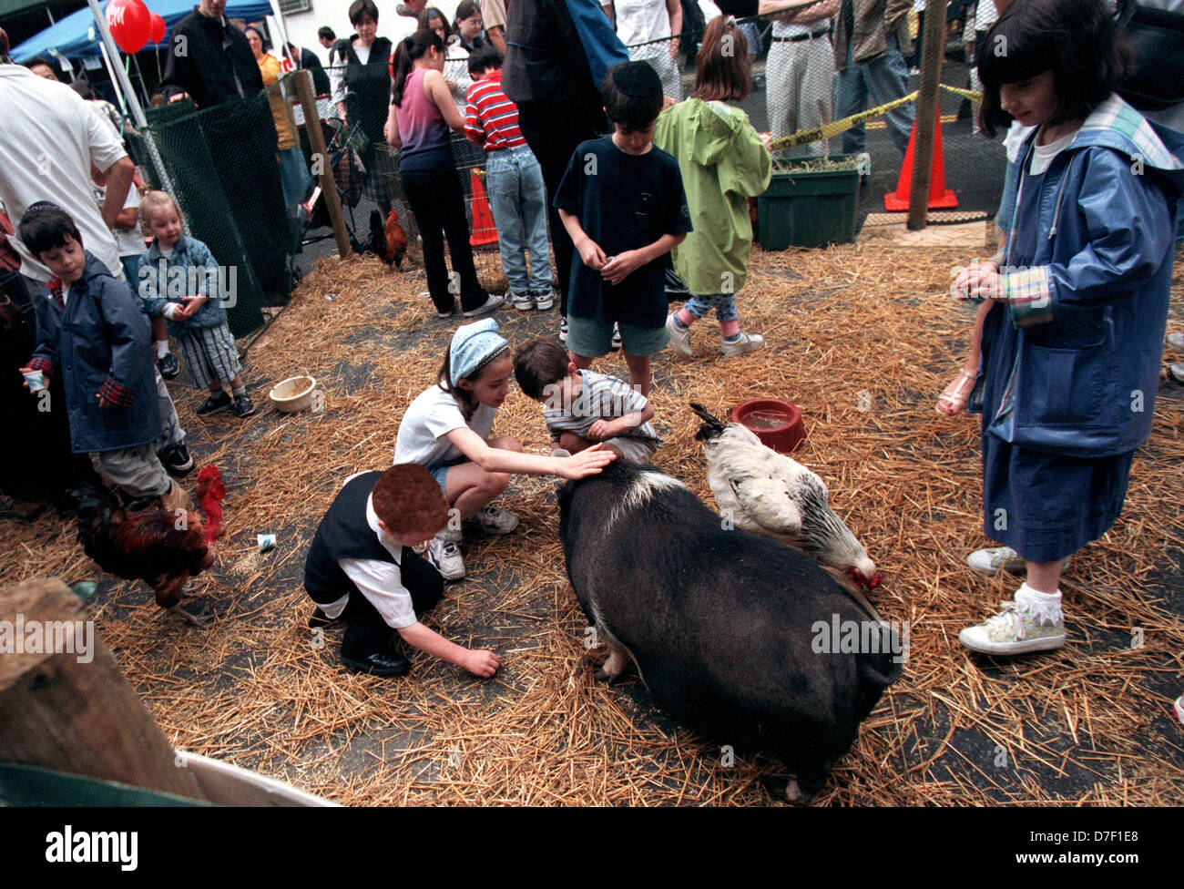 Children feed the animals at the petting zoo at the Lower East Side ...