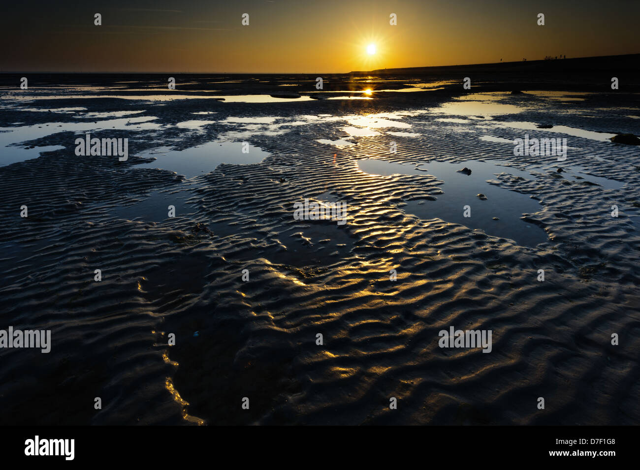 Sunrise above the tidal mudflats at the village of Kattendijke. Zuid ...