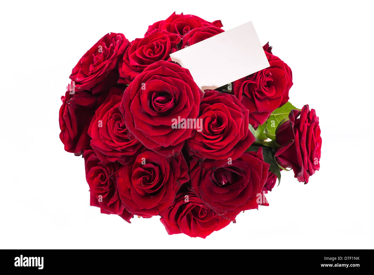beautiful red roses Stock Photo - Alamy