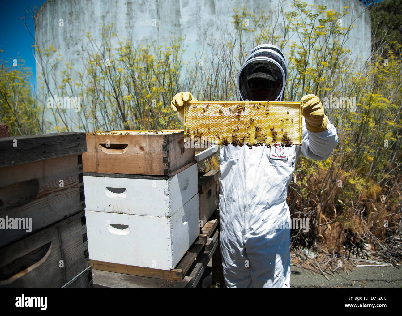 US Air Force Tech. Sgt. Reinhard Valleau of the 60th Civil Engineer ...