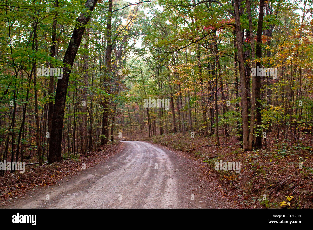 Green ridge state forest hi-res stock photography and images - Alamy