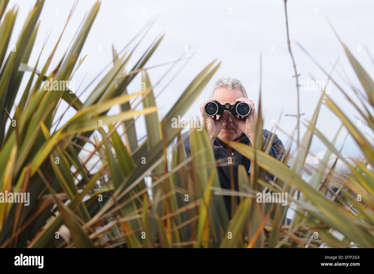 A nosy man looking through binoculars Stock Photo - Alamy