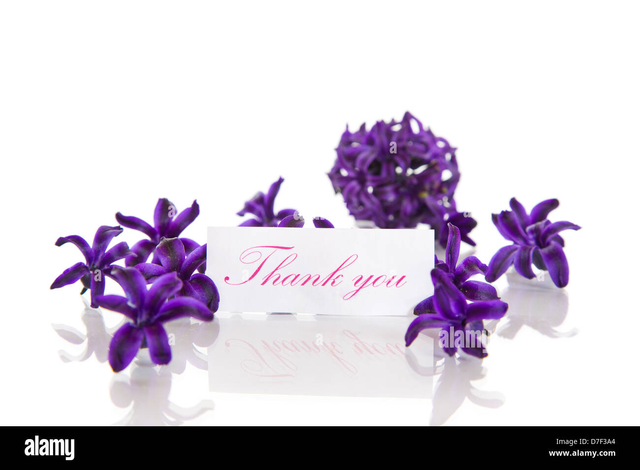 Horizontal shot beautiful blue Cut Out Stock Images & Pictures - Alamy