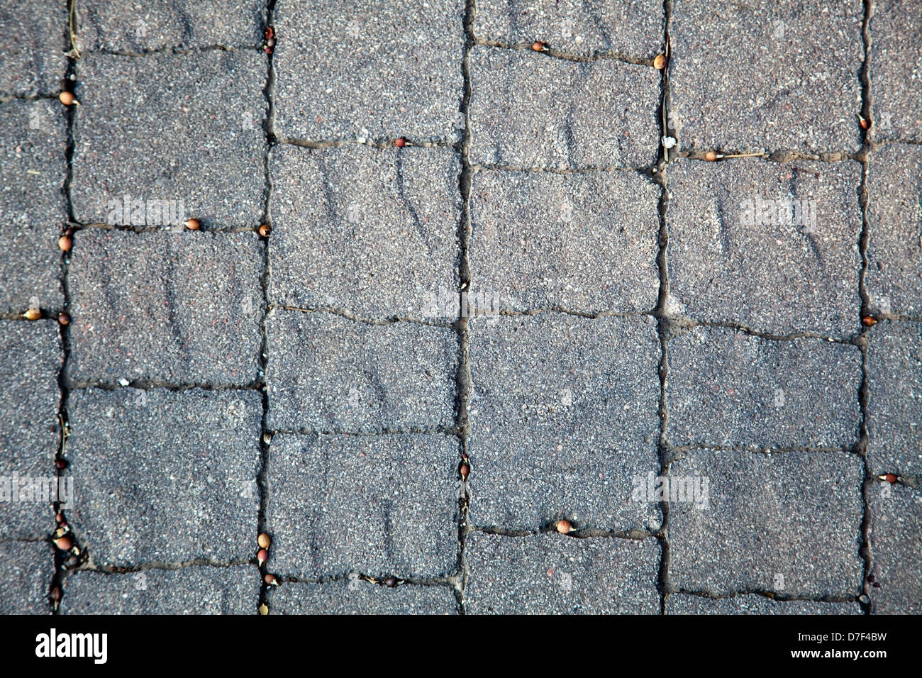 Diffuse texture hi-res stock photography and images - Alamy