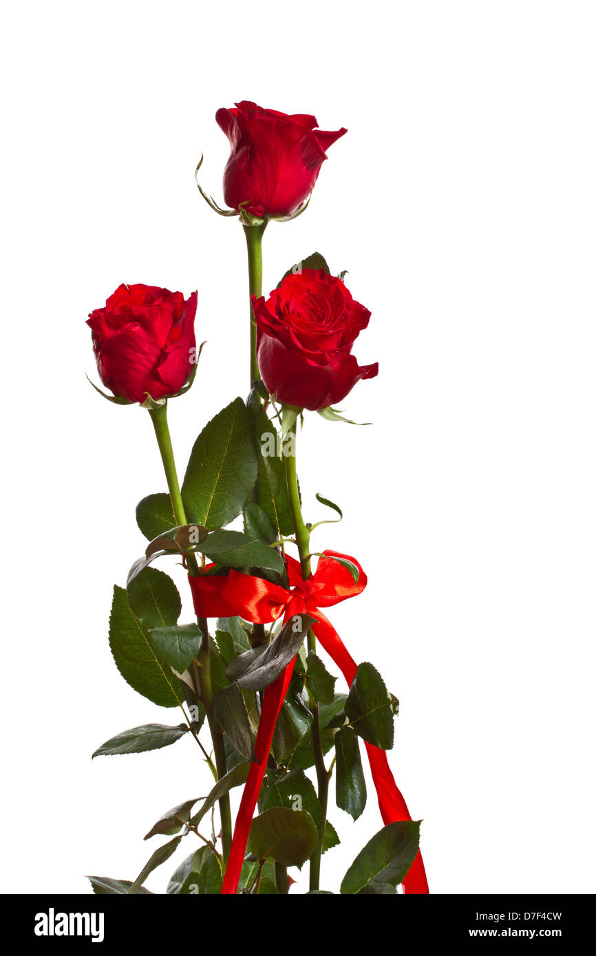 beautiful red roses Stock Photo - Alamy
