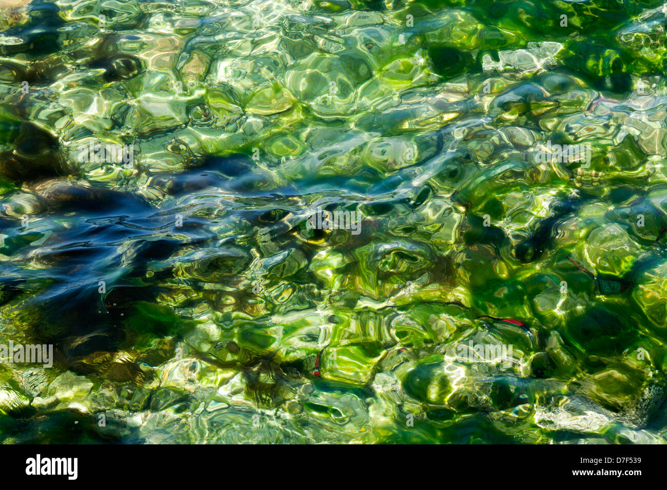 Transparent slightly rippled sea water lit by high-noon sun distort ...