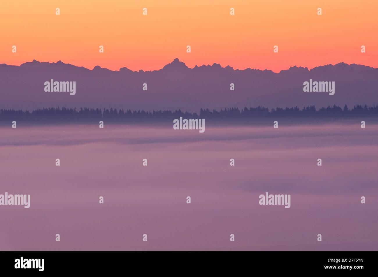 Cascade Mountain Range sunrise with fog in Snohomish Valley Stock Photo ...