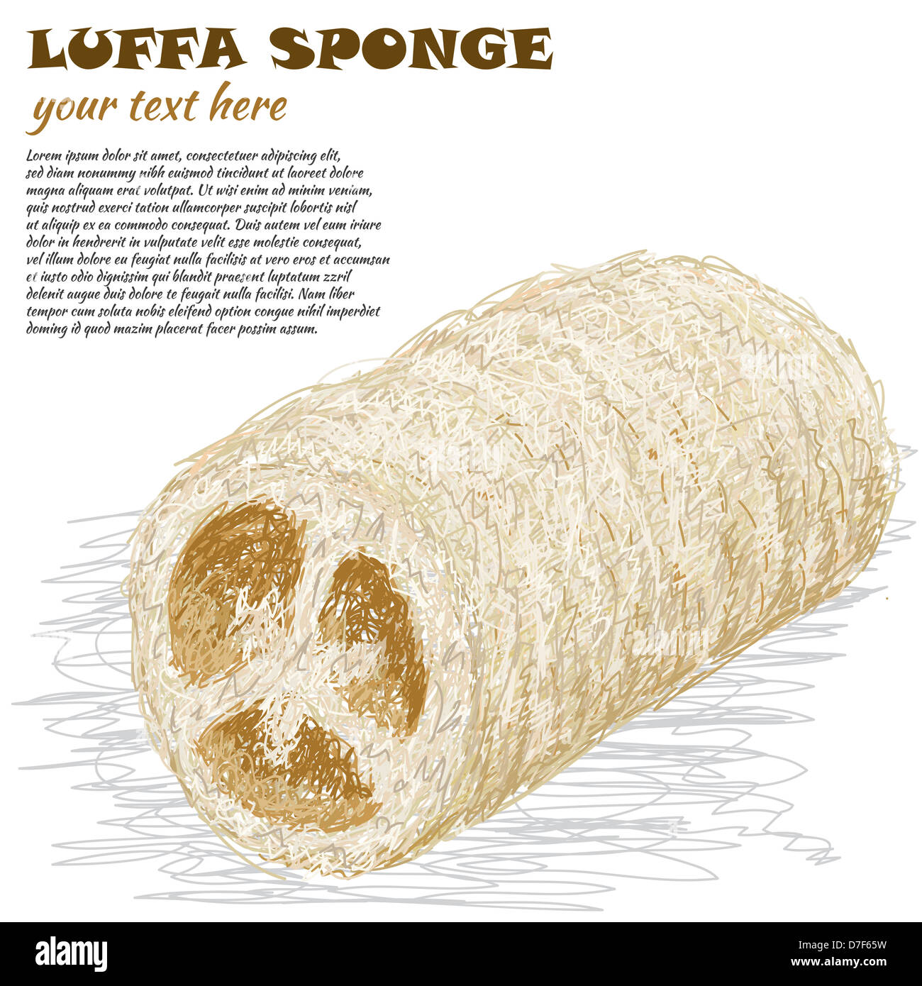 closeup illustration of luffa sponge, scrub isolated in white ...