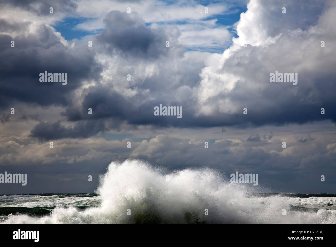 A giant wave raising above sea's water surfaced its surf scattered by ...