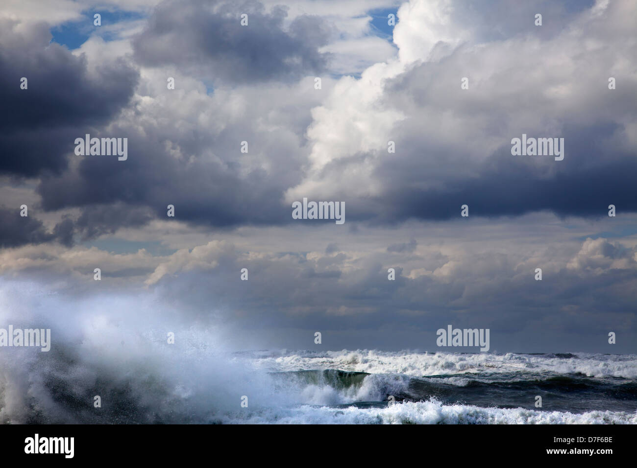A giant wave raising above sea's water surfaced its surf scattered by ...