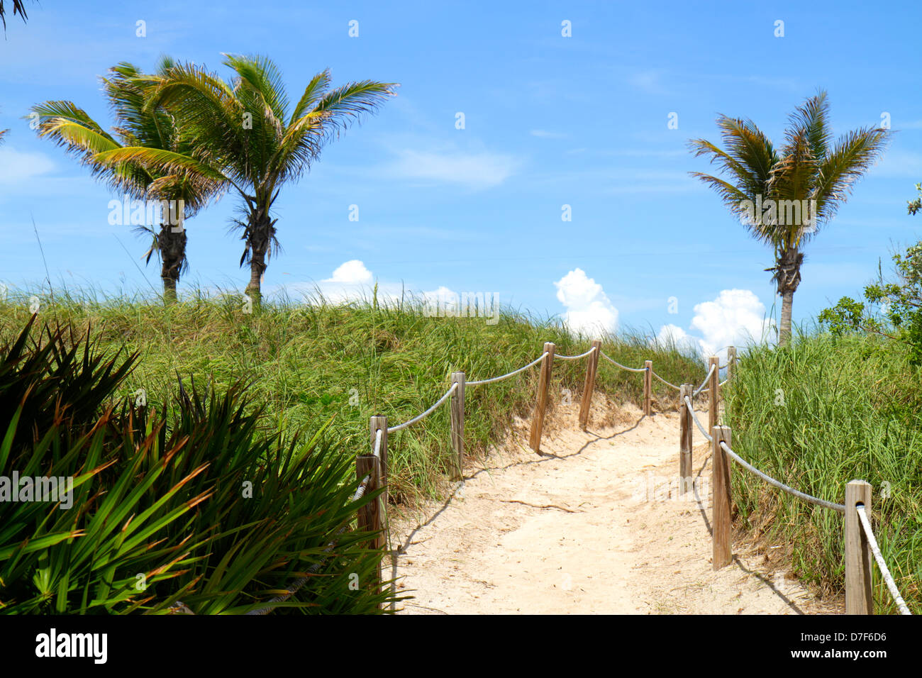 Florida beach sand dunes hi-res stock photography and images - Alamy