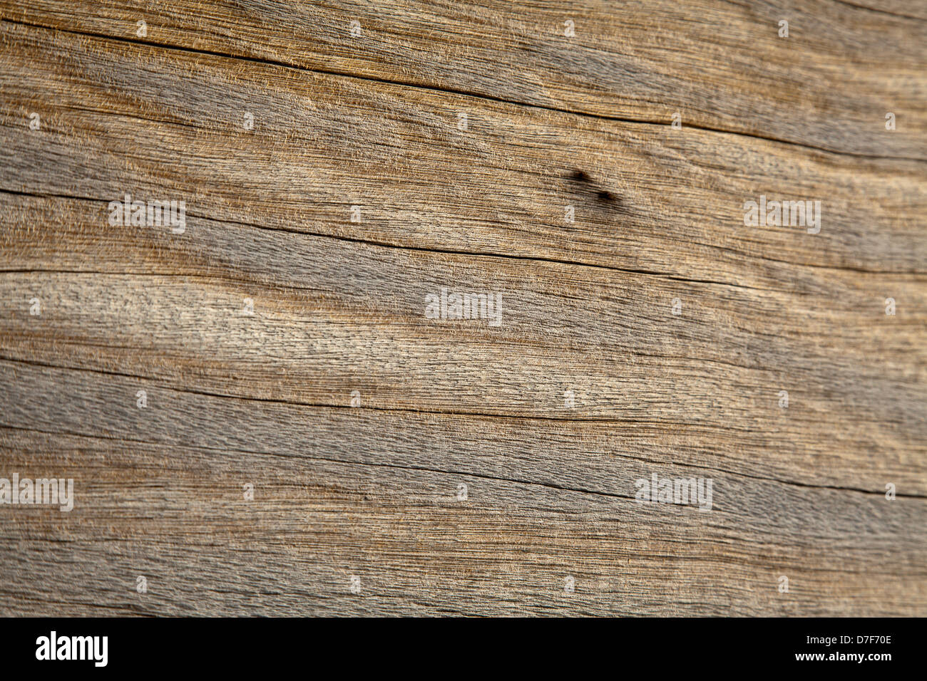 Flat processed wood with small cracks. Focus fall-out on the right side ...