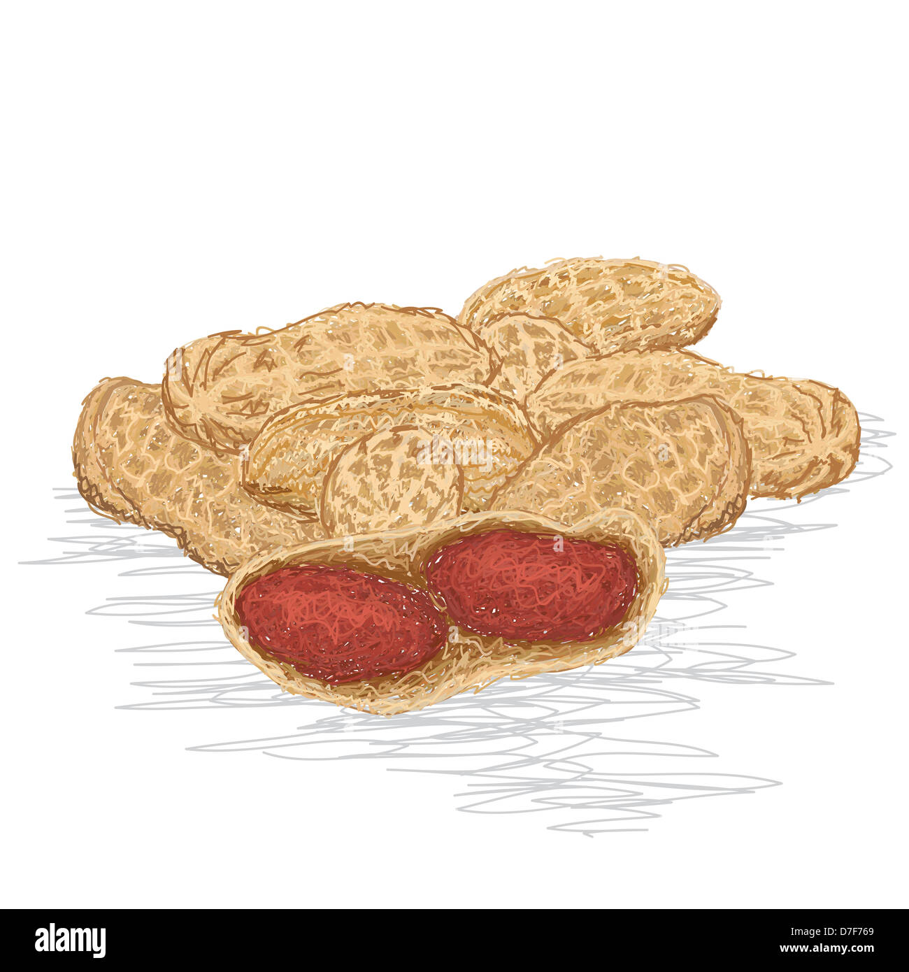 closeup illustration of fresh stack of groundnut isolated Stock Photo ...