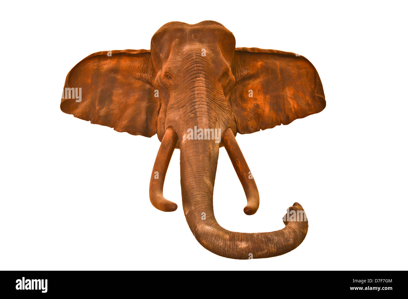 Elephant head Cut Out Stock Images & Pictures - Alamy