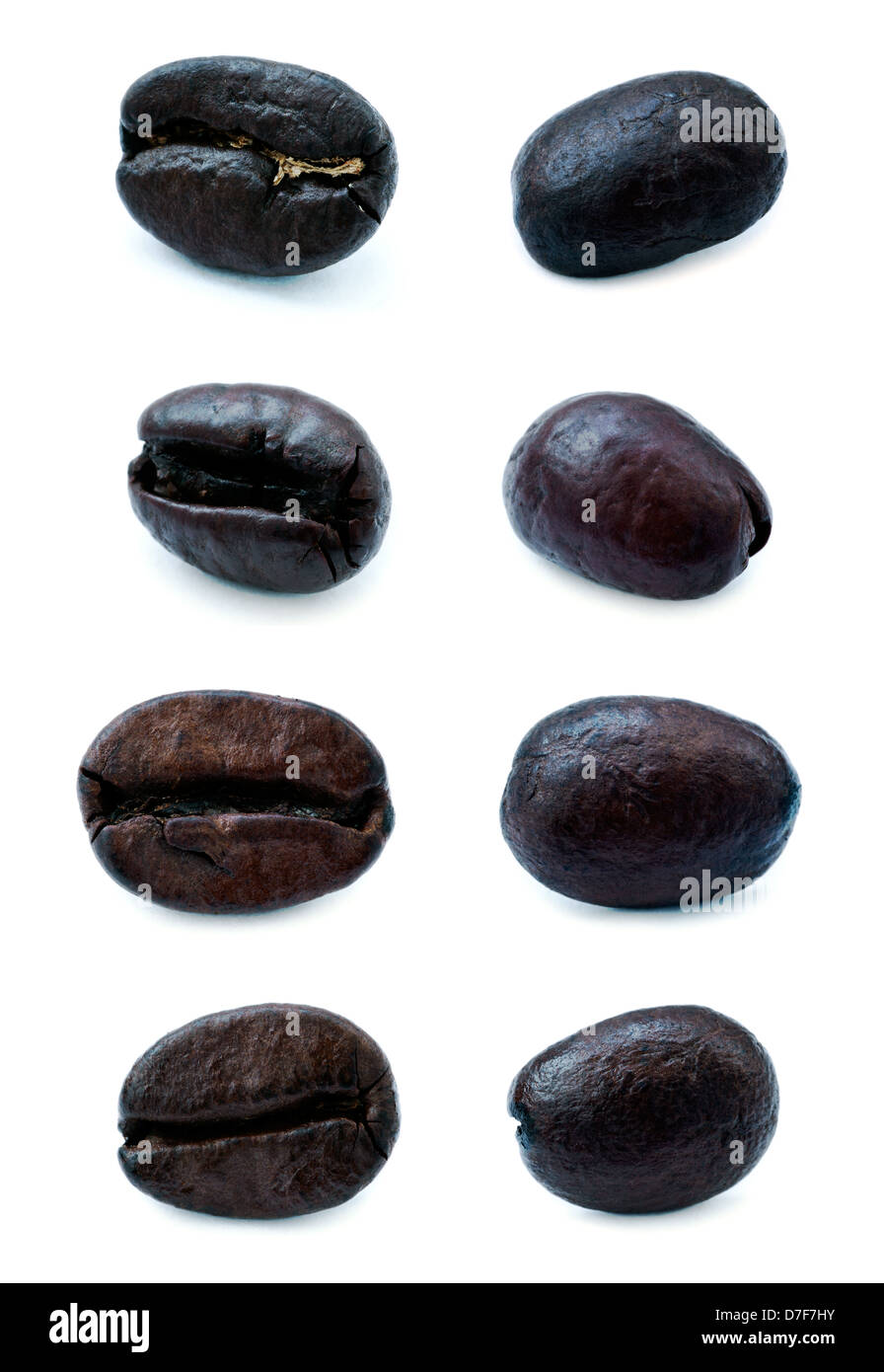 A collection of four different coffee beans. Each bean shown from both ...