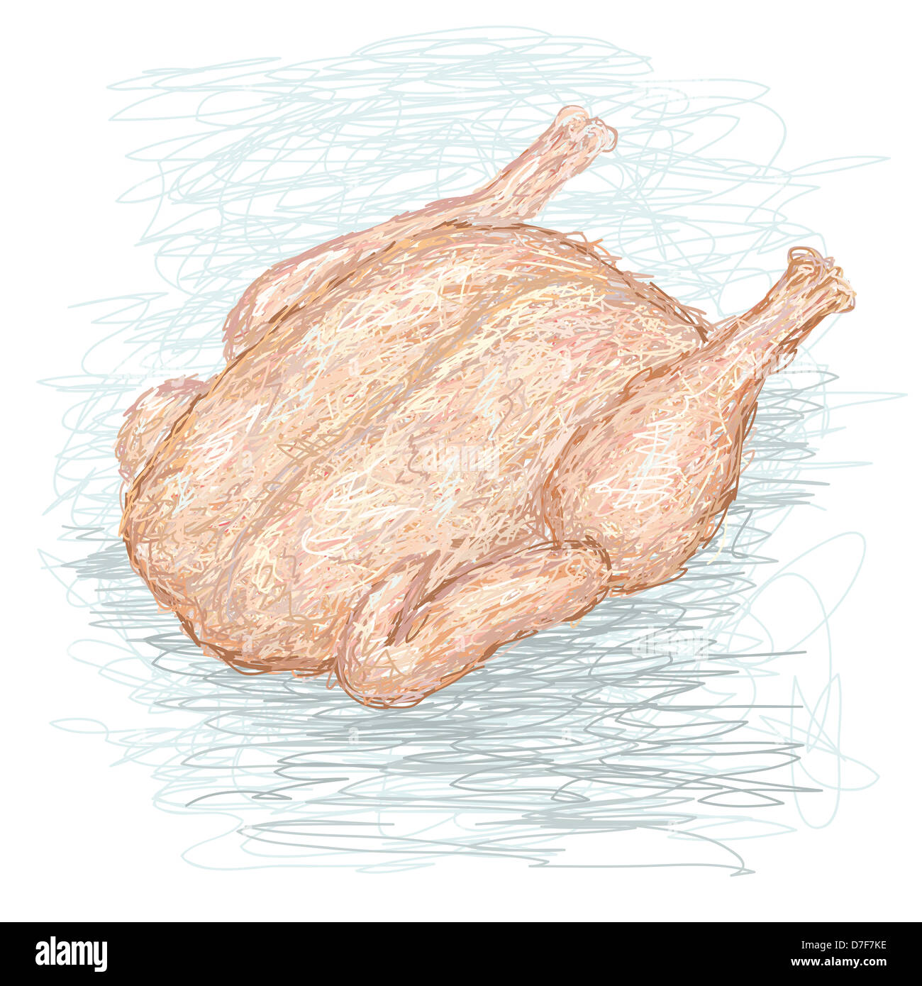 closeup illustration of a fresh raw chicken Stock Photo - Alamy