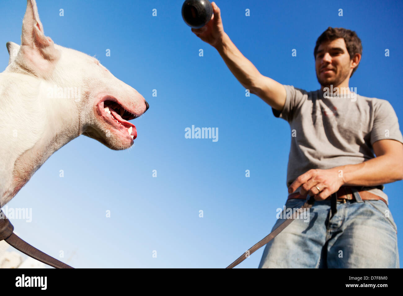 Dog over shoulder hi-res stock photography and images - Alamy