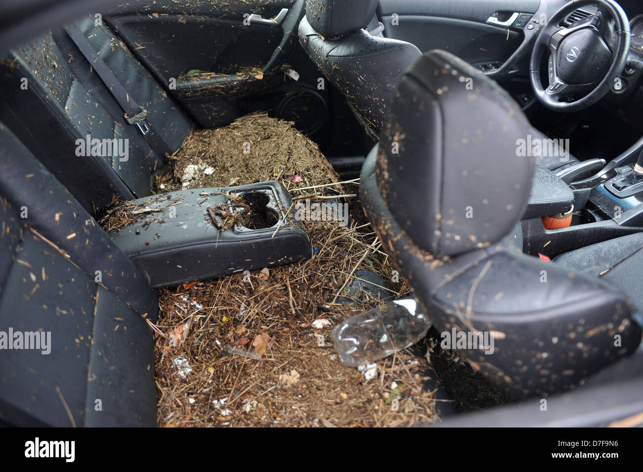 BROOKLYN, NY - OCTOBER 29: Debris litters and mud inside abandoned car ...