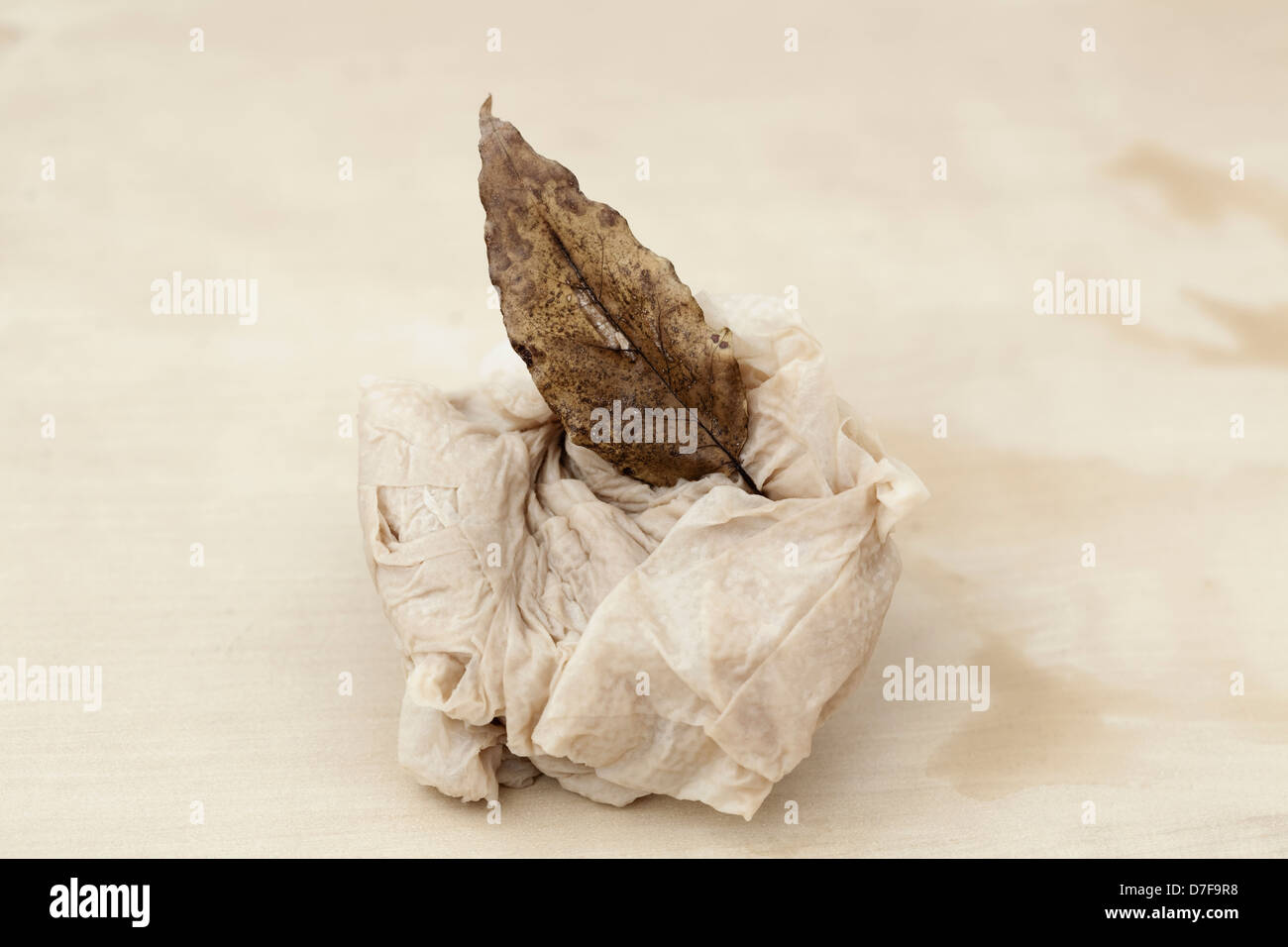 Soaked paper hi-res stock photography and images - Alamy