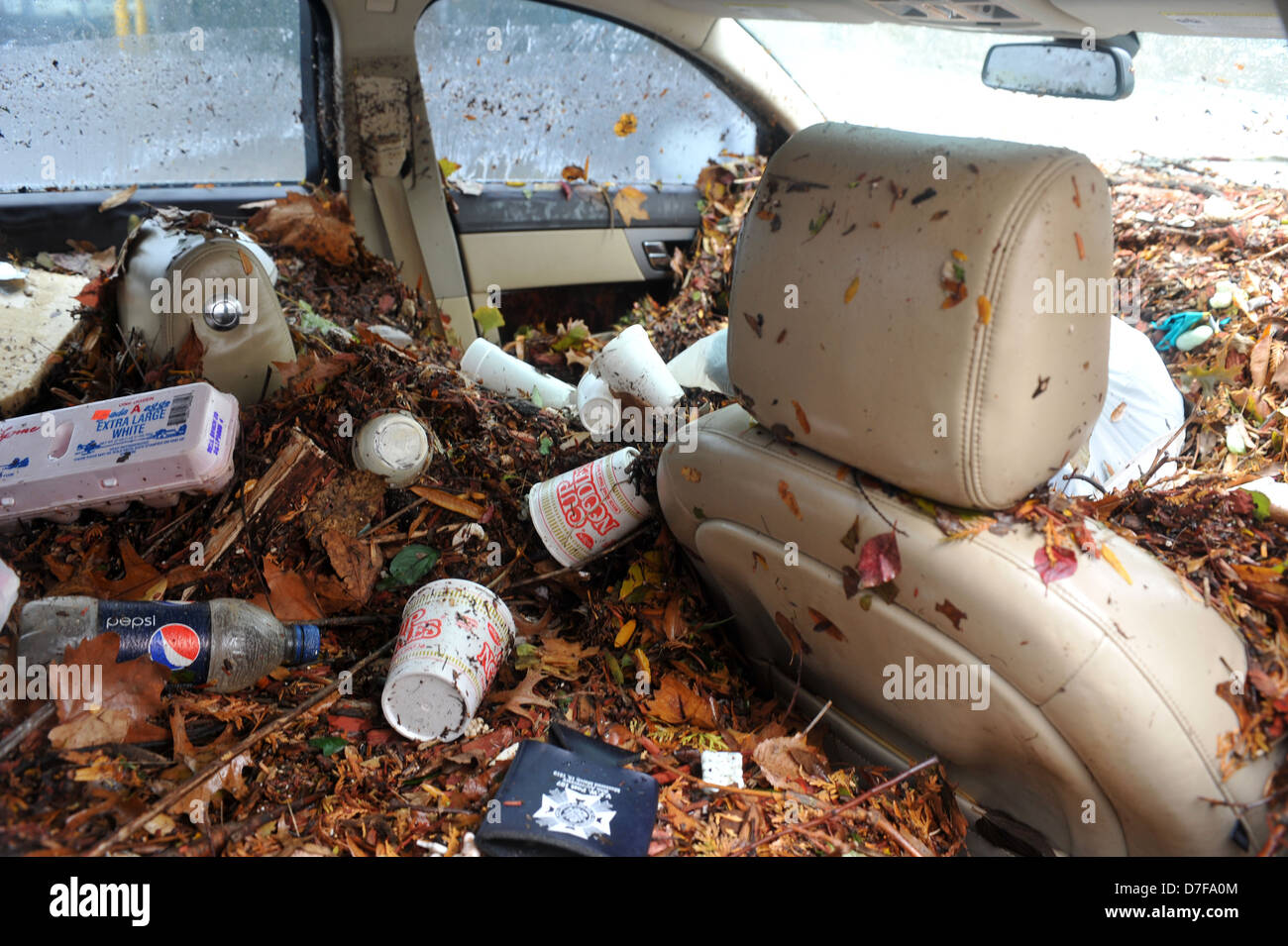 Car litter inside hi-res stock photography and images - Alamy