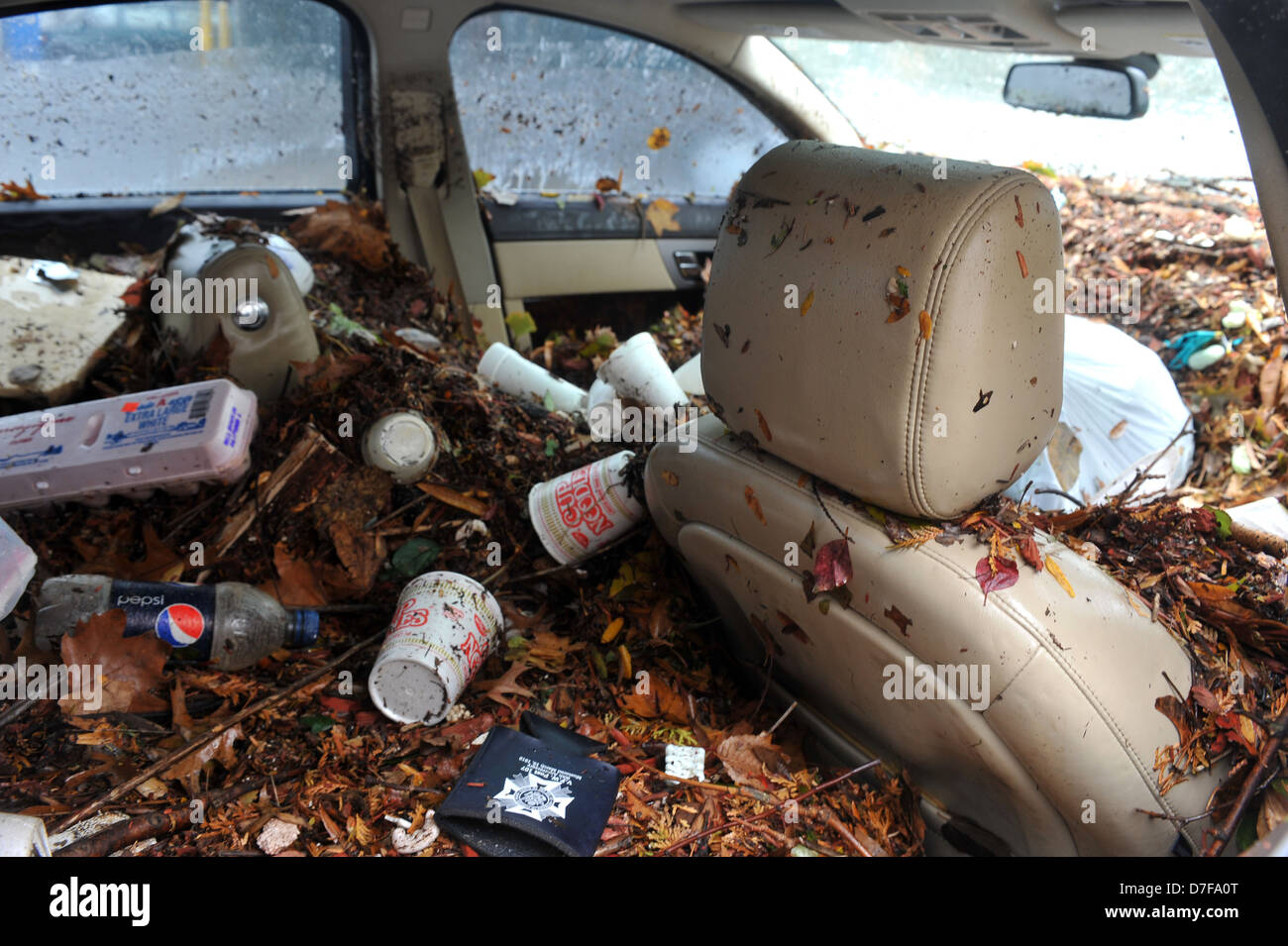 BROOKLYN, NY - OCTOBER 29: Debris litters and mud inside abandoned car ...