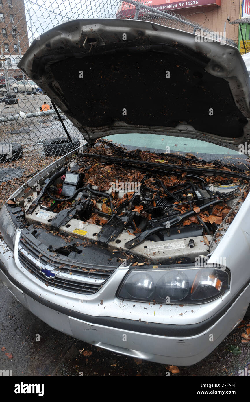 BROOKLYN, NY - OCTOBER 29: Debris litters and mud inside abandoned car ...