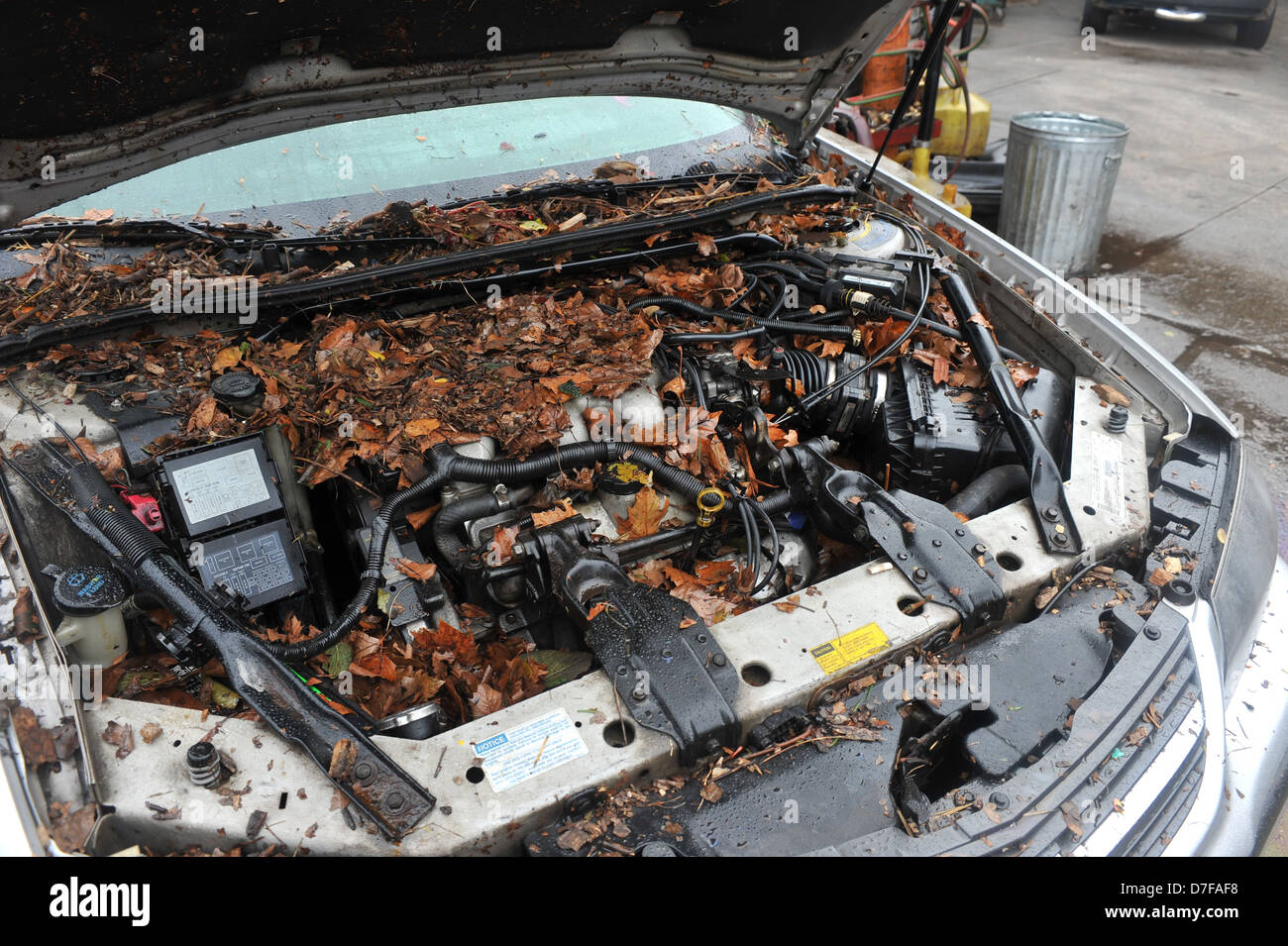 Car litter inside hi-res stock photography and images - Alamy
