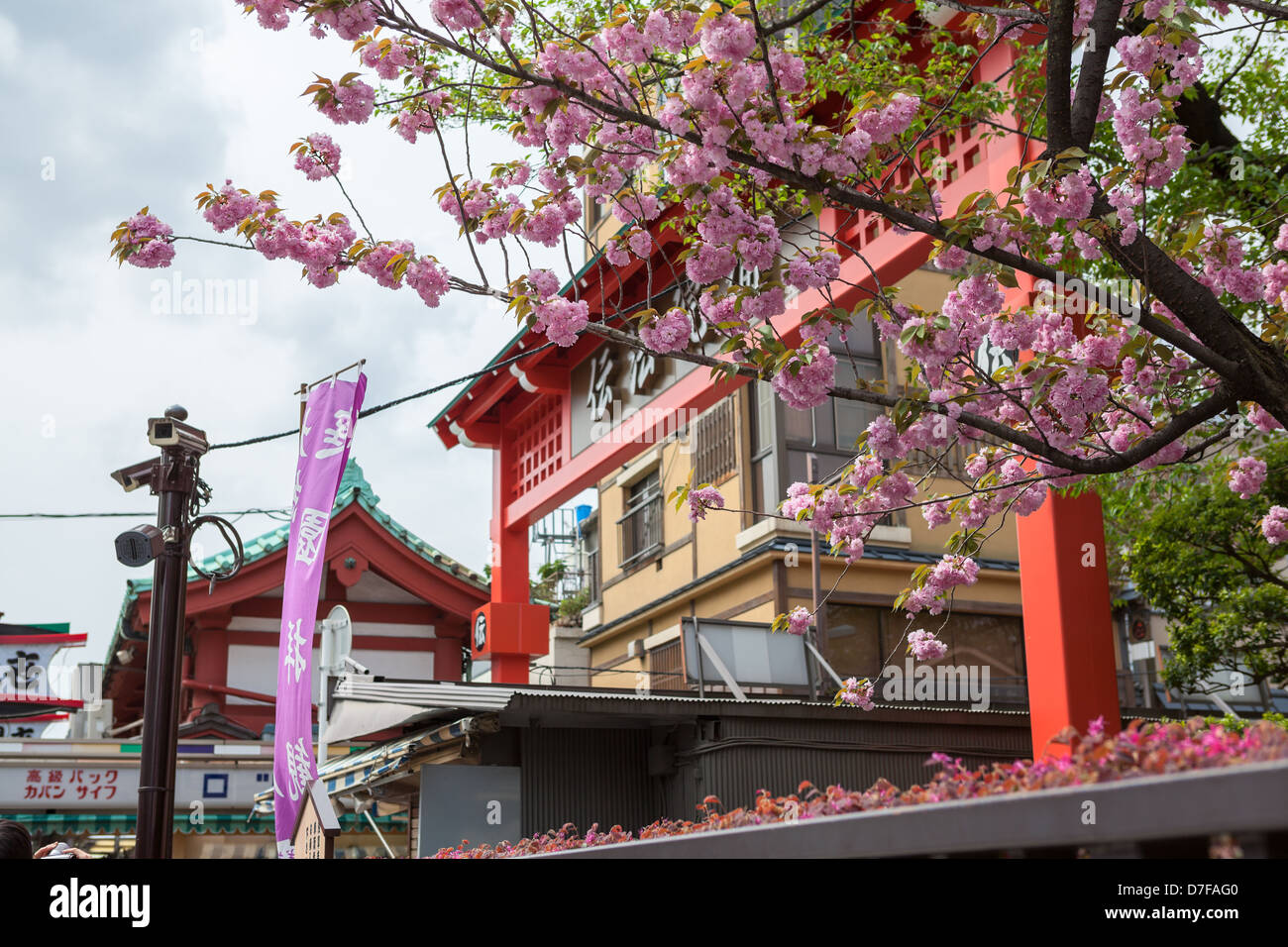 Travel photos from Japan, Japanese streets Stock Photo - Alamy