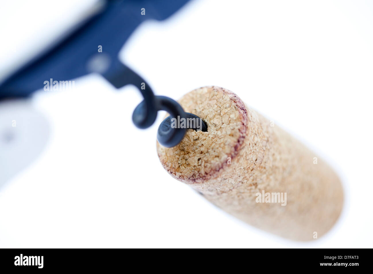 Cork screwed into a corkscrew. Isolated on white background Stock Photo ...