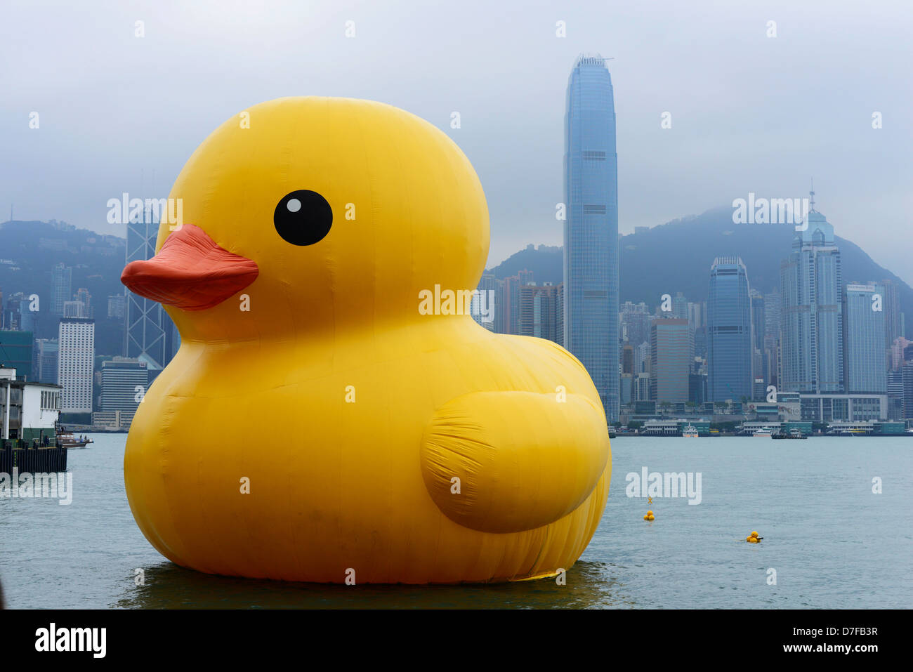 The Giant toy duck visiting Victoria harbor in Hong Kong Stock Photo ...