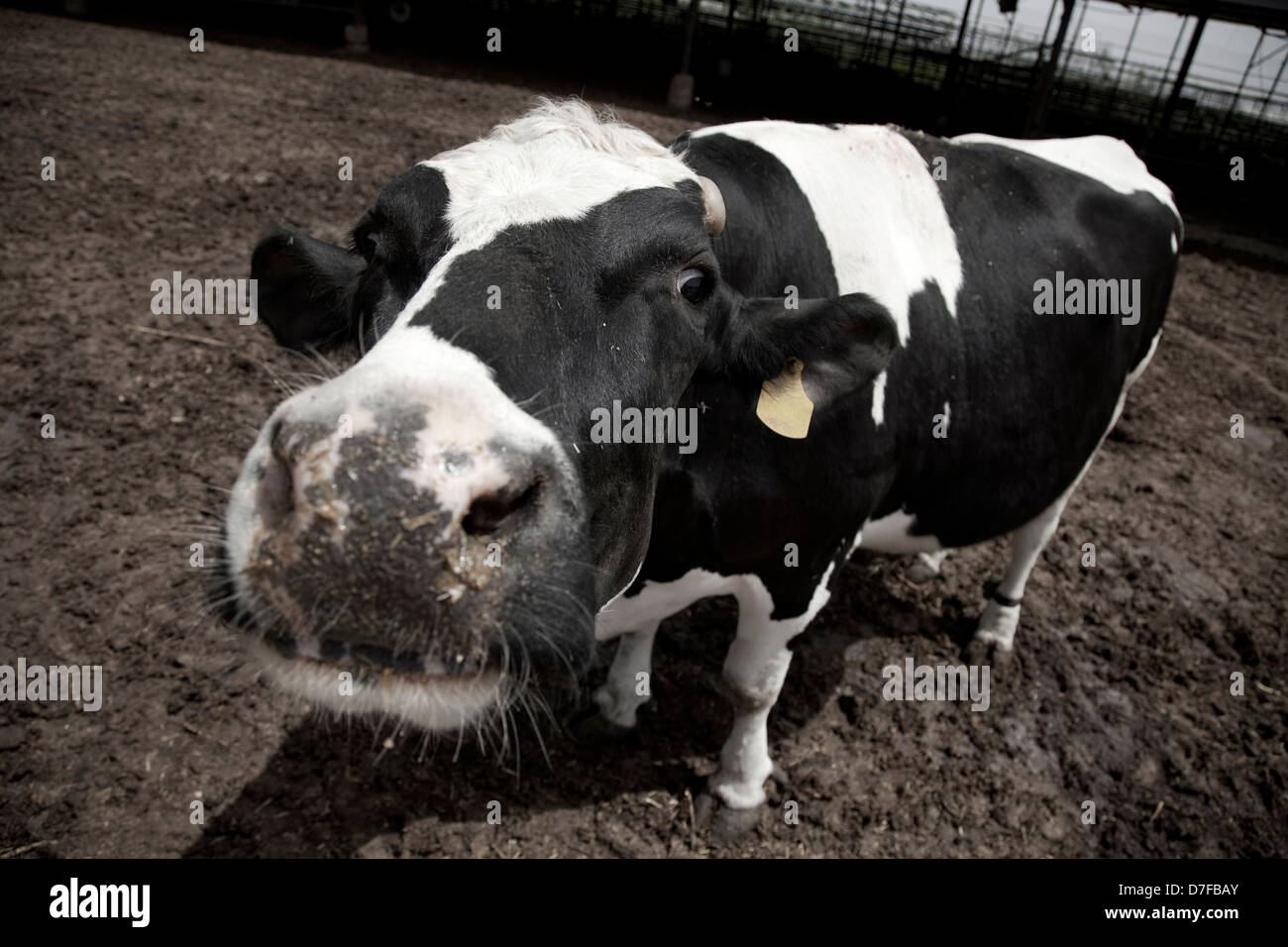 24mm wide angle lens hi-res stock photography and images - Alamy