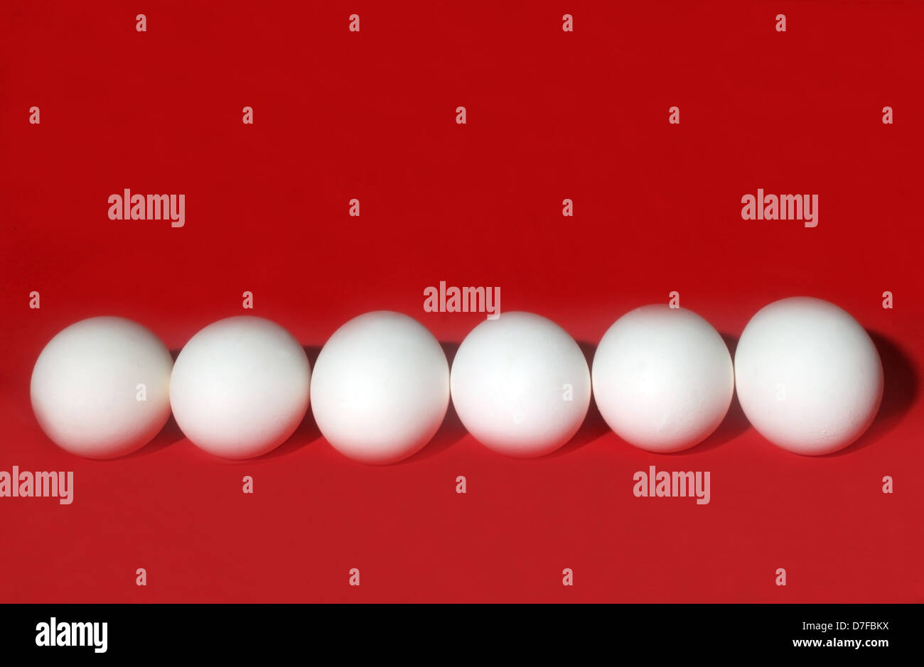 Line of chicken eggs in horizontal lines isolated in red background ...