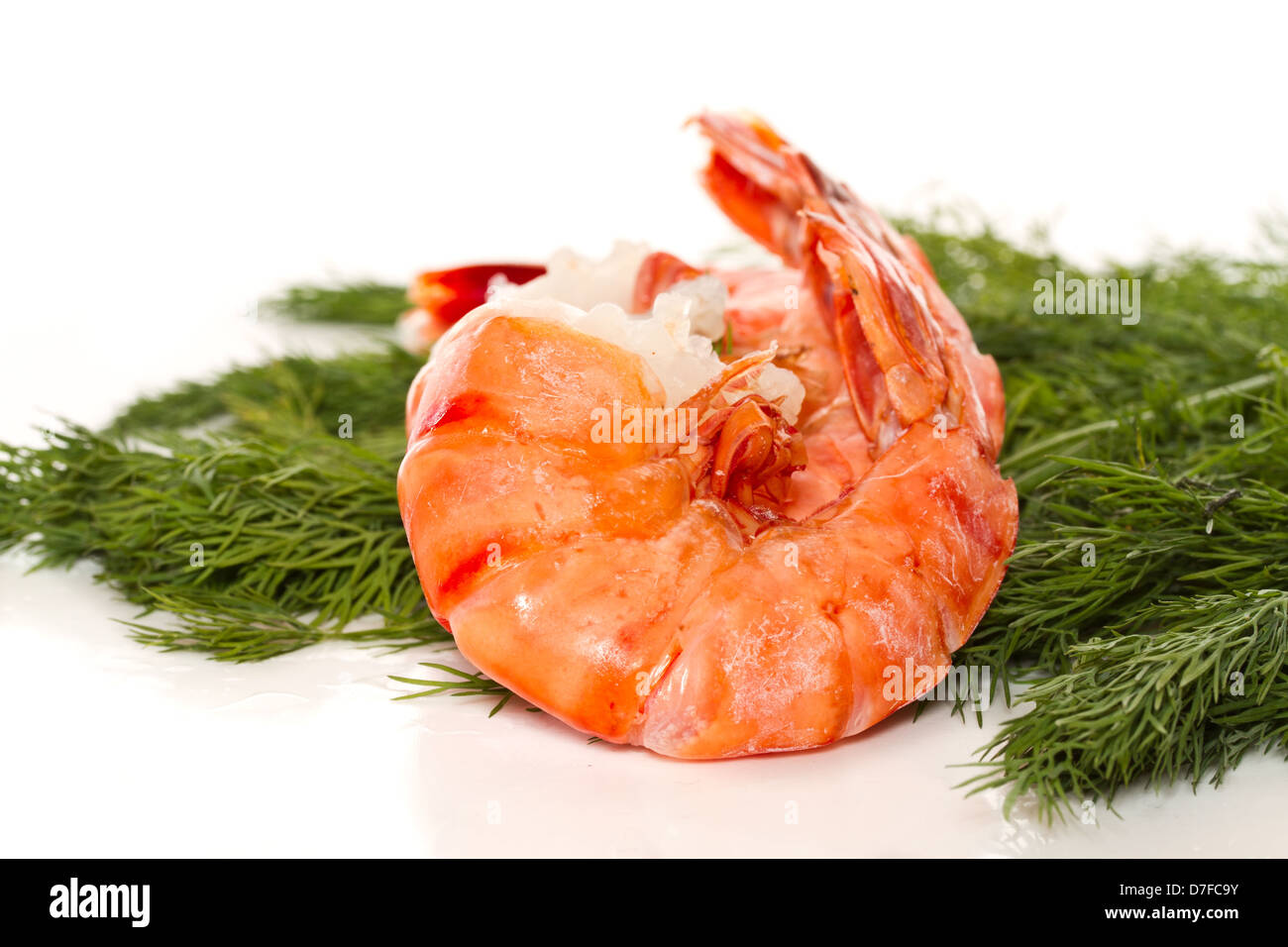 Large shrimp hi-res stock photography and images - Alamy