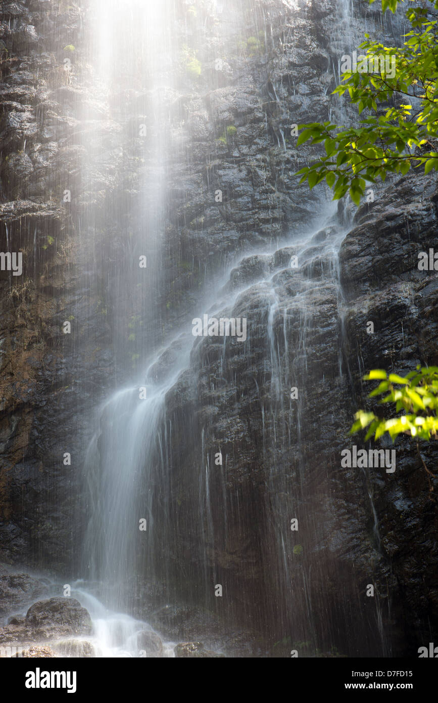 waterfall falling down rocks in the forest Stock Photo - Alamy
