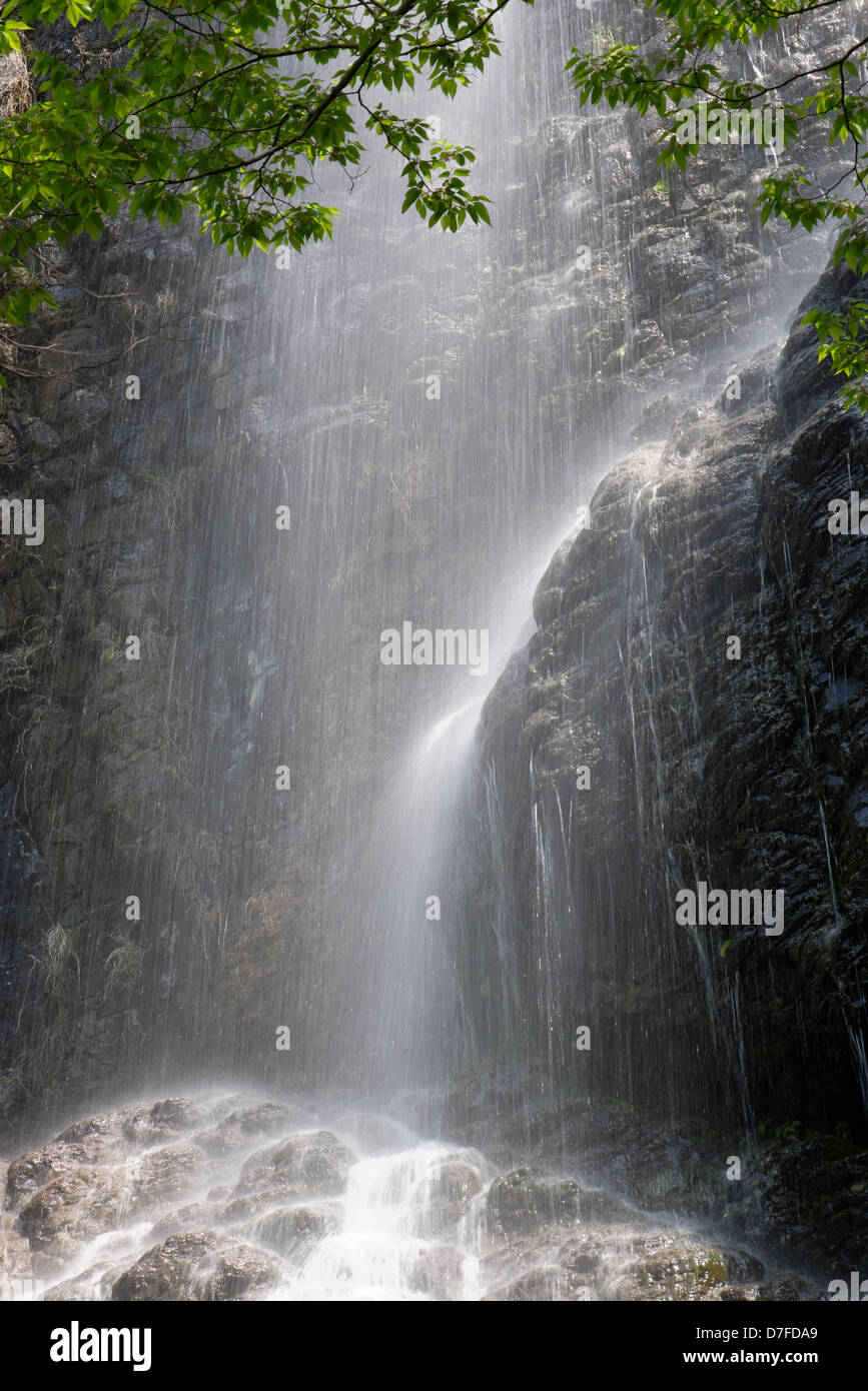 waterfall falling down rocks in the forest Stock Photo - Alamy