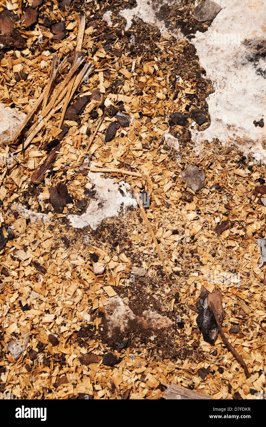 Dark brown soil hi-res stock photography and images - Alamy