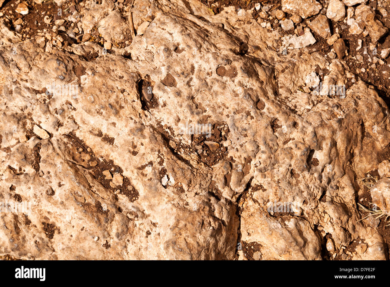 Surroundedstained hi-res stock photography and images - Alamy