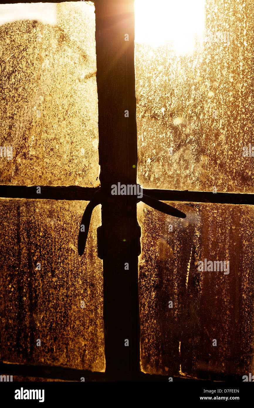 Afternoon yellow sun is back-lighting a window stained with drop marks ...